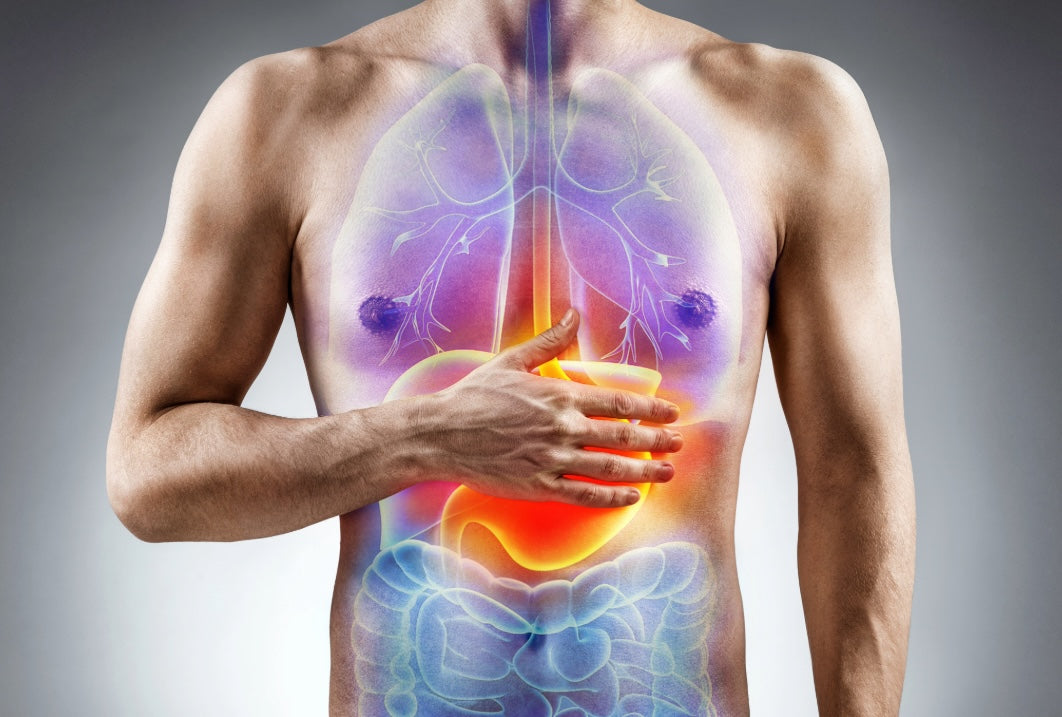 Indigestion and Acid Reflux: Why Too Much and Too Little Stomach Acid ...